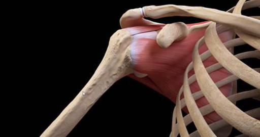 Arthrex - Helping Surgeons Treat Their Patients Better™