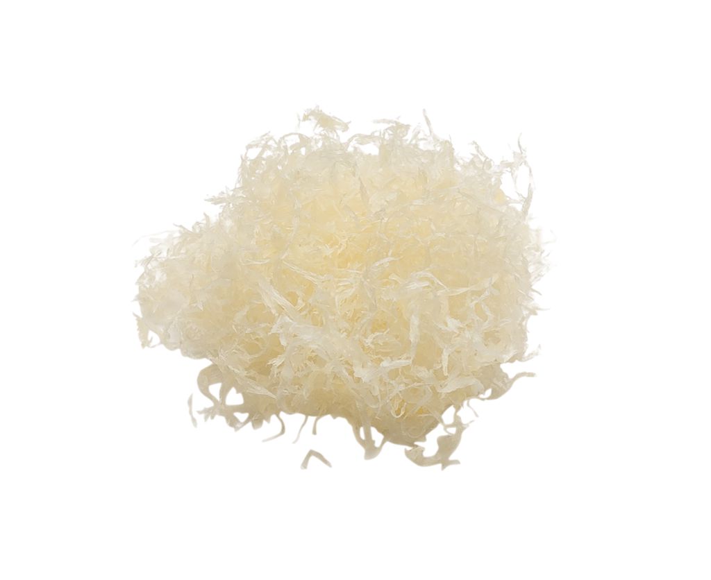 Arthrex - AlloSync DBM Cortical Fibers, 10 cc - ABS-2008-04