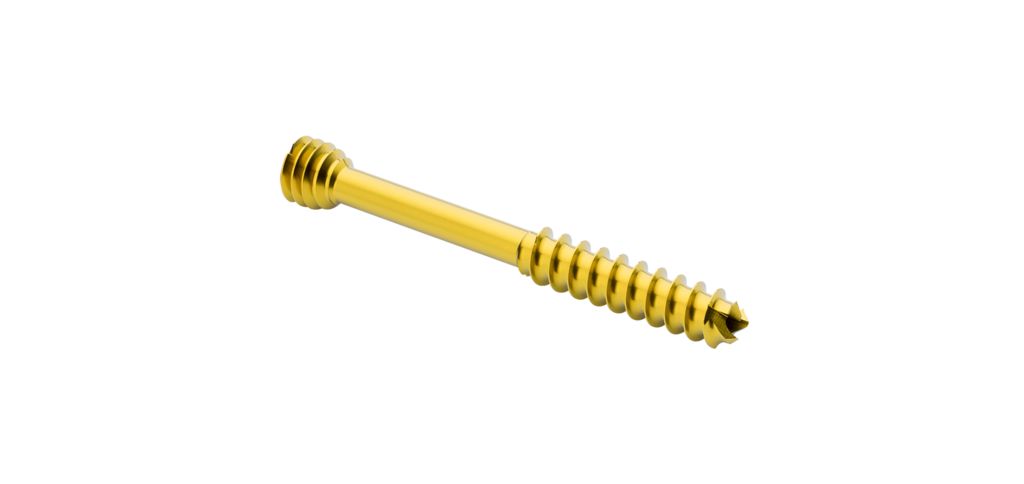 Arthrex - Headless Compression Screw, Cannulated, 6.5 x 60 mm, Long ...