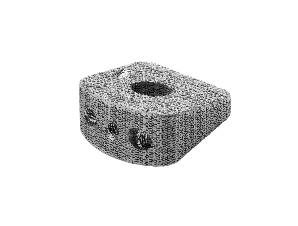 Arthrex - BioSync Evans Wedge, 22 x 22 x 12 mm - AR-8942W-2212